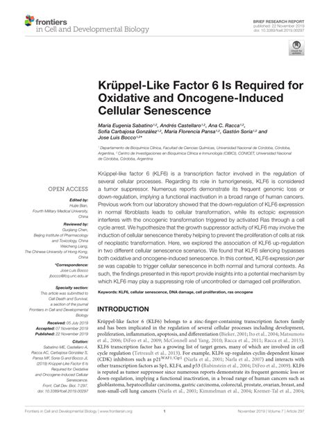 Pdf Krüppel Like Factor 6 Is Required For Oxidative And Oncogene