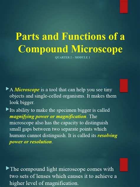 Parts And Functions Of A Compound Microscope Pdf Optics
