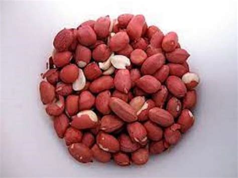 Fresh Peanut Sprouts At Rs 250 Kg Groundnut In Hyderabad Id 2853926011897