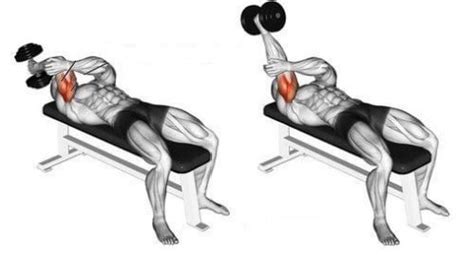 Tríceps con mancuernas3 Ejercicios excelentes