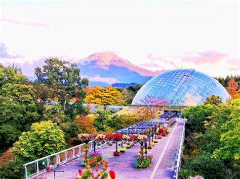 とっとり花回廊ので一年中花を楽しむ季節ごとの魅力や所要時間も紹介 amAtavi
