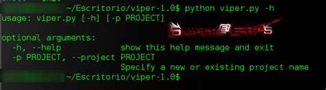 Jugando con Viper I Instalando y conociendo los comandos básicos
