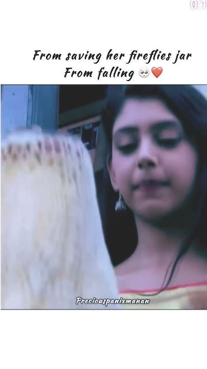 Fireflies ♡♡♡♡ Fireflies Youtube