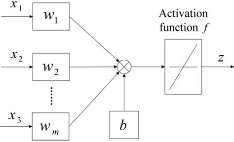 structure of bp neural networks model download scientific diagram