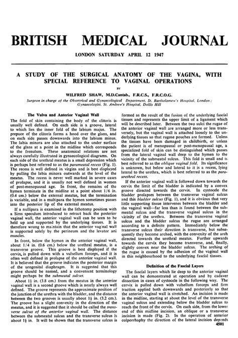Surgical Anatomy Of The Vagina The Bmj