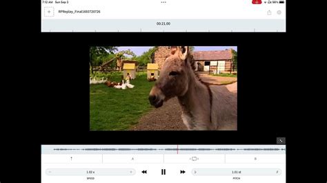 Big Barn Farm Theme Song Pal Pitch Youtube