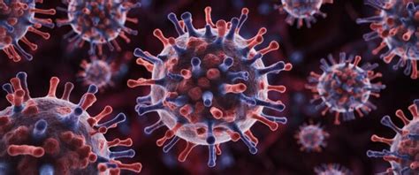 Intricate Patterns Of Cytokines Reveal Cellular Interactions And