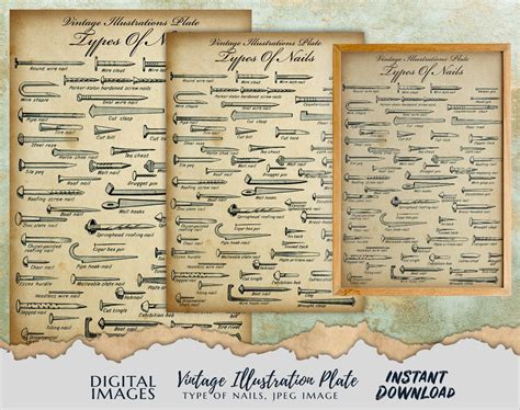 Types Of Nails Chart Vintage Diy Carpentry Digital Image Illustrations A4 Size 300 Dpi Jpeg