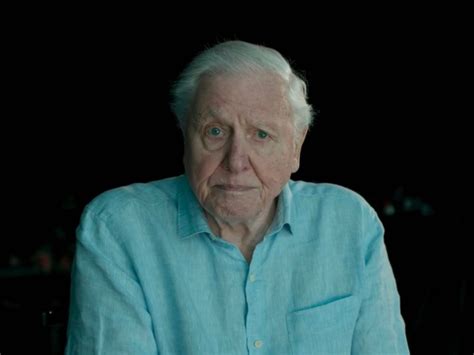 Frozen Planet Ii Start Date Trailer And How To Watch New 48 Off