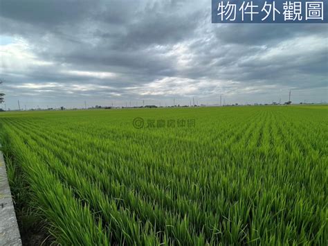 水林鄉都統段方正漂亮大面寬農地 雲林縣水林鄉都統段房屋 Yc0153358 永慶不動產