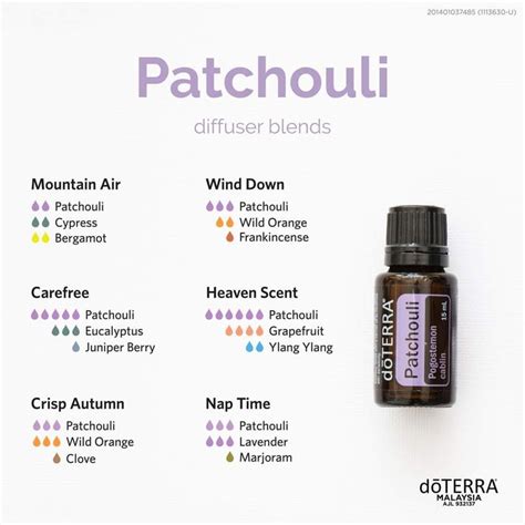 Patchouli Diffuser Blends Essential Oil Diffuser Blends Recipes Patchouli Diffuser Blends Essential Oil Diffuser Blends Recipes
