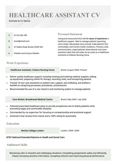 Nursing Cv Examples And Writing Guide For 2025