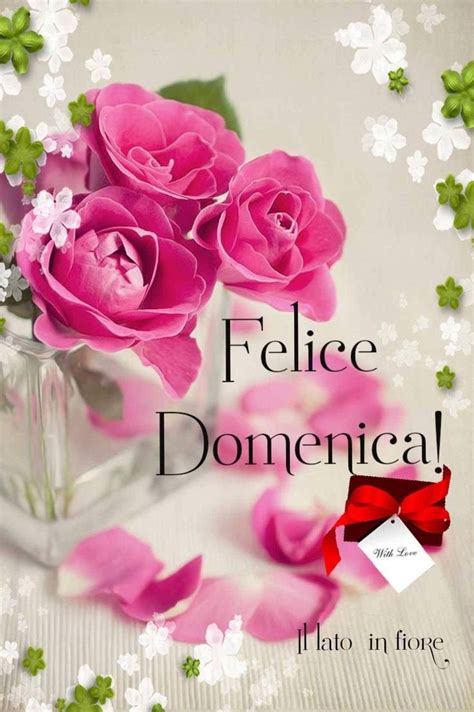 Pin By Amalia Di Marco On Buongiorno Lith Rose Flowers