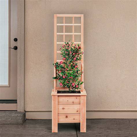 Natural Cedar Raised Planter Box With Trellis