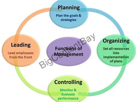 Functions Of Management Lasopalatin