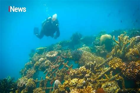 Melirik Indahnya Desa Wisata Penglipuran Dan Pemuteran Surga Tersembunyi Di Bali