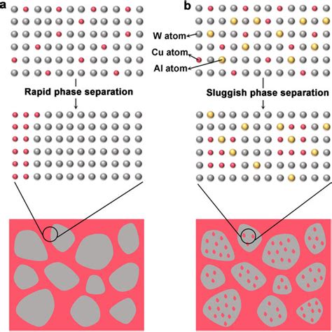 Schematics Showing The Different Process Of Phase Separation Modulated Download Scientific
