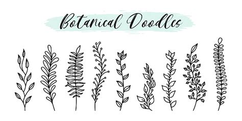 손으로 그린 낙서 벡터 식물과 꽃 요소 세트 라인 스타일 천연 스케치 식물 가지 잎 소셜 미디어 디자인에 대한 열매 배지 라벨