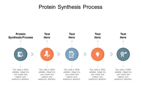 Protein Synthesis Process Ppt Powerpoint Presentation Inspiration