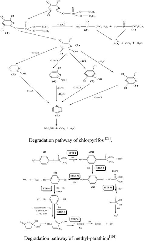 Degradation Pathways Of Chlorpyrifos And Methyl Parathion Download