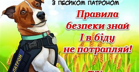 Урок безпеки клас Конспект НУШ