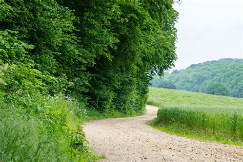 Nature Path Rural Free Photo On Pixabay Pixabay