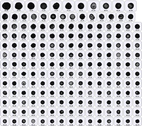 What About Particle Shape Alfatestlab