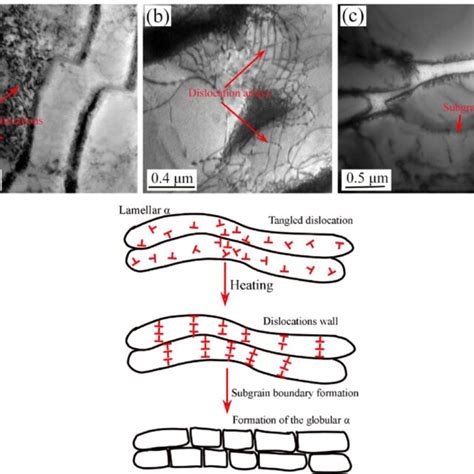 Dislocation Configuration Of The Ti Al V Mo Zr Alloy Samples A Download Scientific Diagram