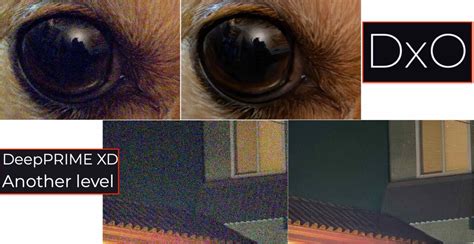 DPReview Tests DxO DeepPRIME XD For Fujifilm X Trans Files Make It Your Default Option For