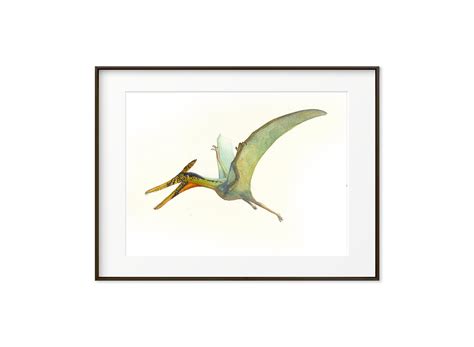 Pterodactyl Watercolor Art Print Dinosaur Nursery Decor Etsy