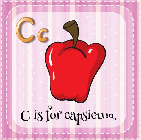 Flashcard 문자 c는 고추용입니다 무료 벡터