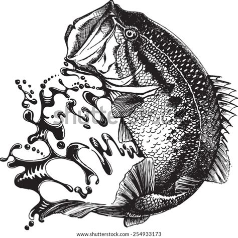 Illustrated Bass Jumping Vector File Available Stock Vector Royalty Free 254933173 Shutterstock