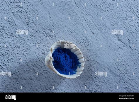 Blue Spirulina Powder Texture In White Sea Shells On White Background