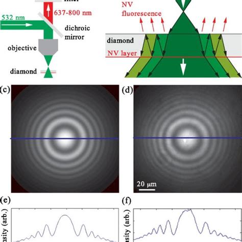 Coherent Population Trapping At Various Excitation Powers At Location 1 Download Scientific