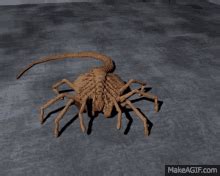 Alien Facehugger S Tenor