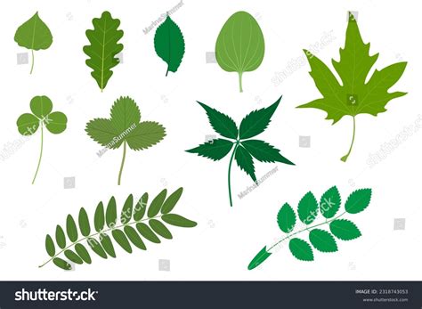 Simple Leaf Examples