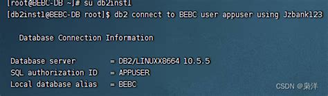 解除db2数据库死锁操作步骤指南 Csdn博客