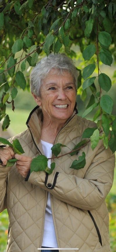 Lynda Lee Stewart Obituary November 9 2022