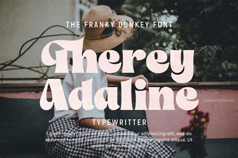 柔和风格的英文粗体衬线字体 The Franky Dunkey 艺字网