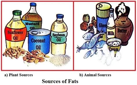 Components Of Food Class 6th Question Answers Learn Jkbose