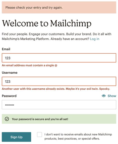 Web Form Error Message Design Gallery Smiley Cat