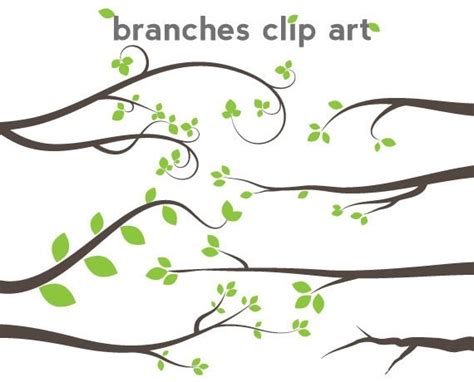 Tree Limb Clipart