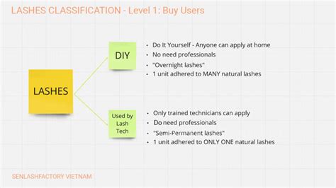 Types Of Eyelash Extensions Master Their Classification In A Heartbeat