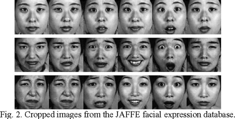 Figure 2 From Facial Expression Recognition Using Spectral Supervised