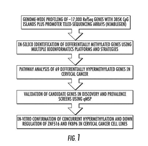 Dna Hypermethylation Of Promoters Of Target Genes And Clinical