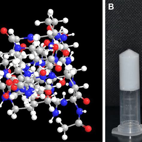 Supramolecular Self Assembling Of Peptide Notes A 3d Structure Of