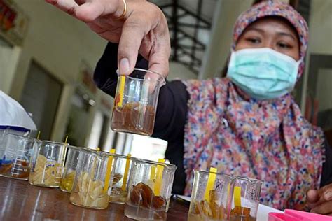 BPOM Tingkatkan Pengawasan Peredaran Kosmetik Dan Obat Tradisional