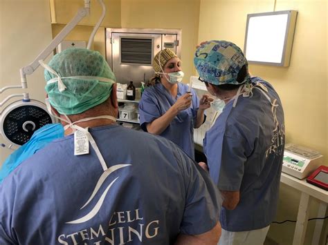 Gscg Continues To Expand Training Efforts In 6 International Cities