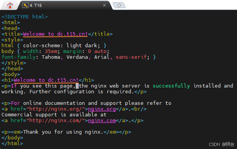 安装tiny Core Linux 和 部署nginx Csdn博客