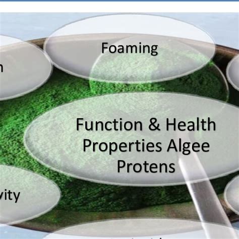Nutritional And Health Benefits Of Proteins And Peptides Derived From